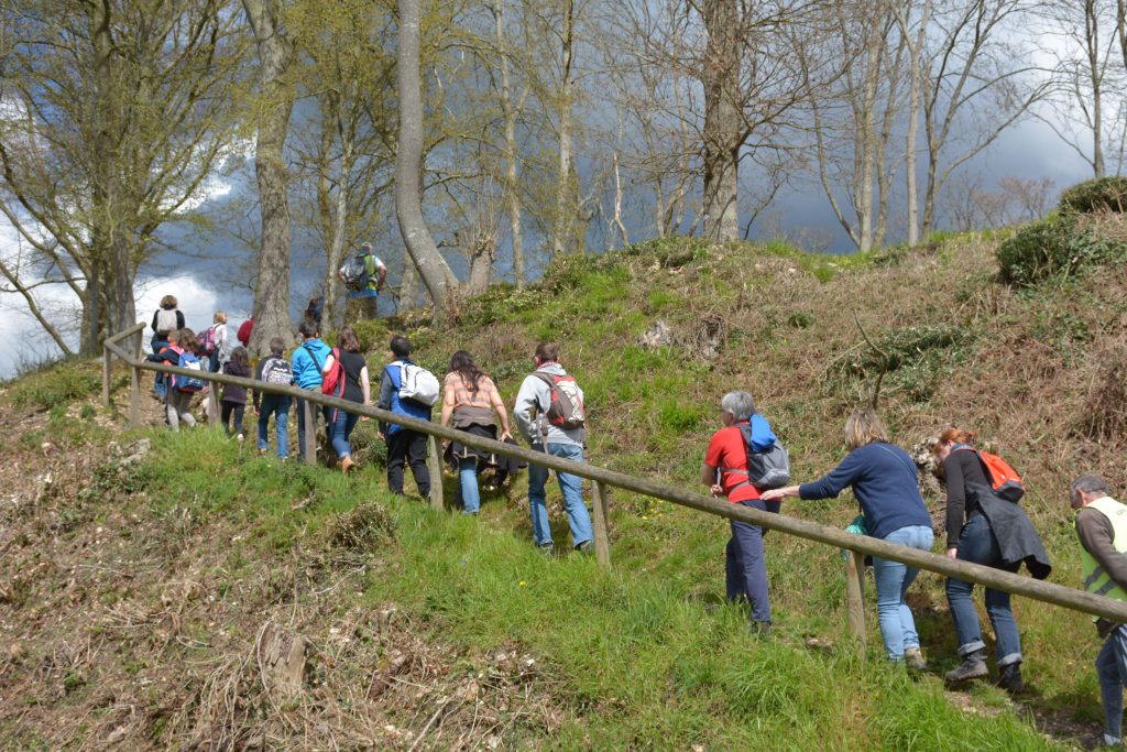 Balade à la fraîche à Pont-Audemer - Tourisme Pont-Audemer Val de Risle