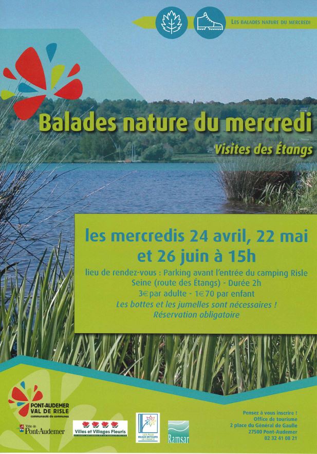 Visite ornithologique des étangs - Tourisme Pont-Audemer Val de Risle